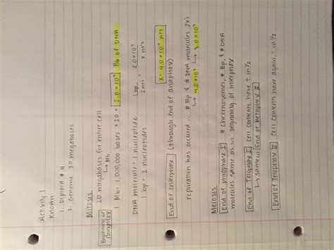 Solved Cell Cycle Ive Attempted The Activty But Wanted To