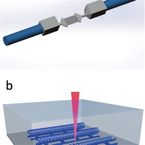 A 3d Depiction Of The Microfluidic Device For The Modeling Of The