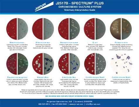 Jorvet J2517b Chromogenic Culture System Instructions