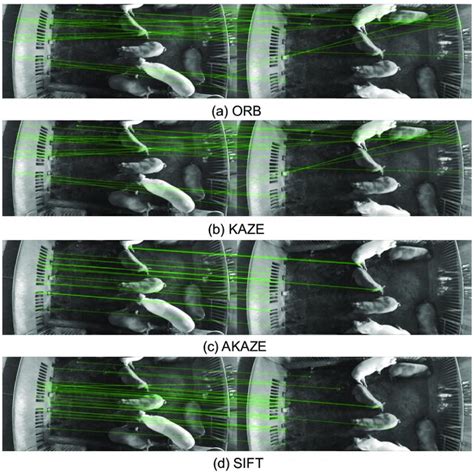 Pig Segmentation Results In Images Taken By Our Rail Based Unmanned