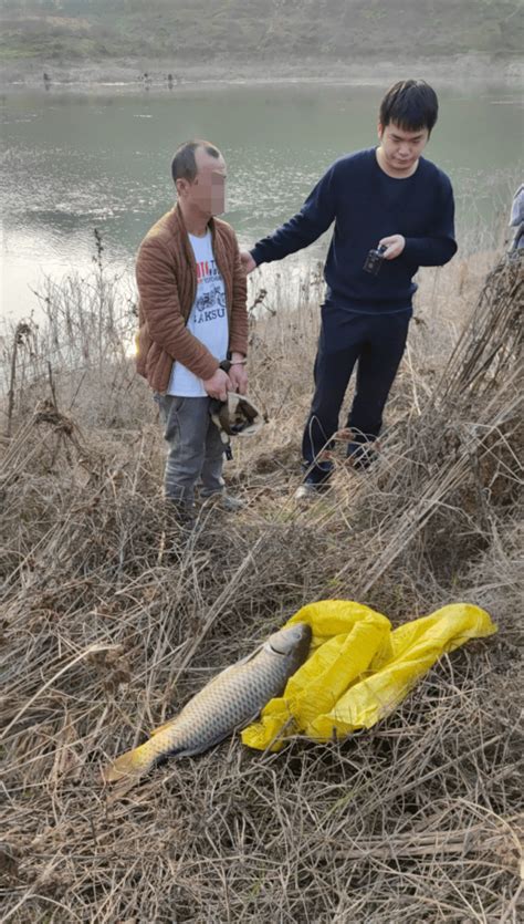 涪陵查获一起使用射鱼器械非法捕捞案鲤鱼内容水域