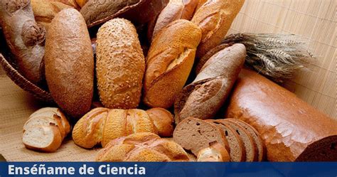 ¿se Dice «panecito O «pancito La Rae Resuelve La Duda Enséñame De Ciencia