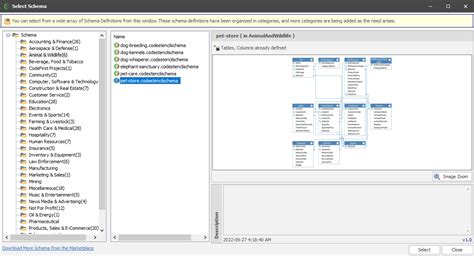 Schema Library Codestencil