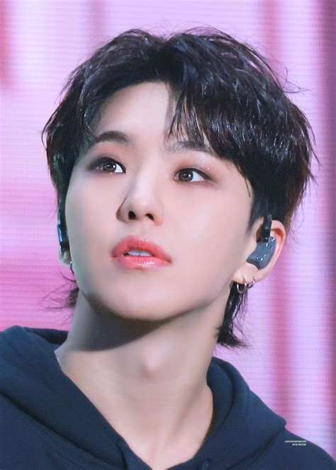 Pin Von Angelie Auf Svt Bias Line ꒰ᐢ ᐢ꒱₊˚⊹ In 2024 Tiger