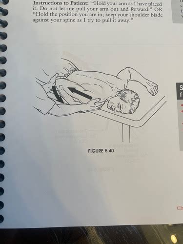 Upper Quarter MMT Manual Muscle Testing Flashcards Quizlet Upper Quarter MMT Manual Muscle Testing Flashcards Quizlet