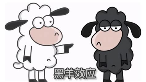 黑羊效应 什么事黑羊效应？黑羊效应对人的影响 Youtube
