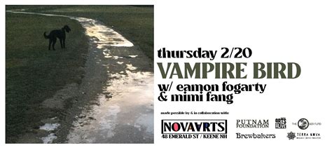 Vampire Bird W Eamon Fogarty And Mimi Fang — Nova Arts