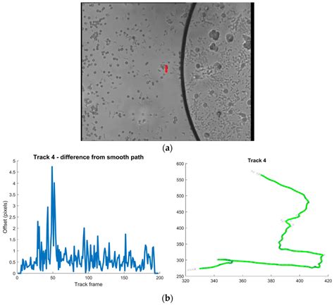 Diagnostics Special Issue Mobile Diagnosis