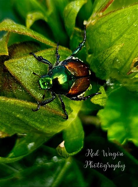 Some Of This Mornings Shots Michelle Akeman