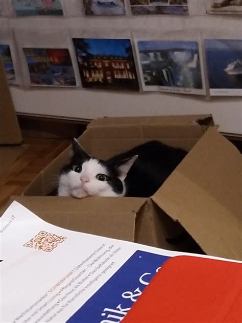 Jacob In A Trap Scrolller