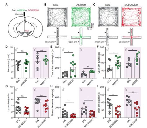 多巴胺1型受体调控焦虑行为的环路机制生物器材网