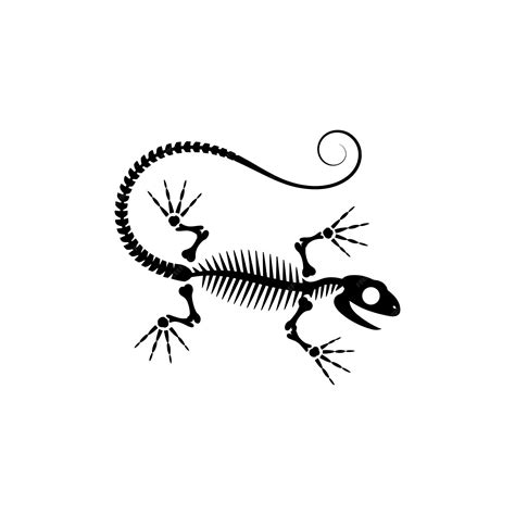 Lizard Skeleton Illustration Premium Vector