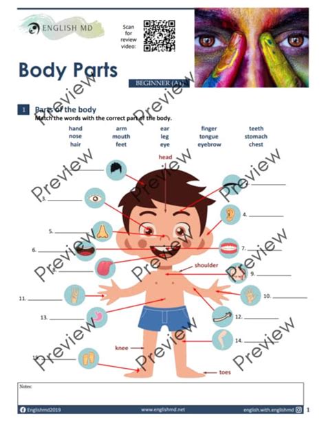 Body Parts Parts Of The Body Beginner Esl For Teens And Adults A1