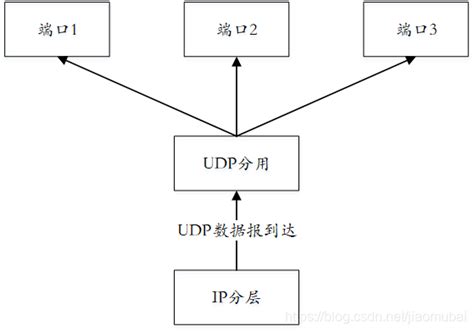 udp协议详解 csdn博客