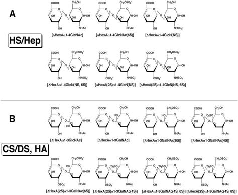 Figure 1 [structure Of Unsaturated Disaccharides ] Glycoscience Protocols Glycopodv2