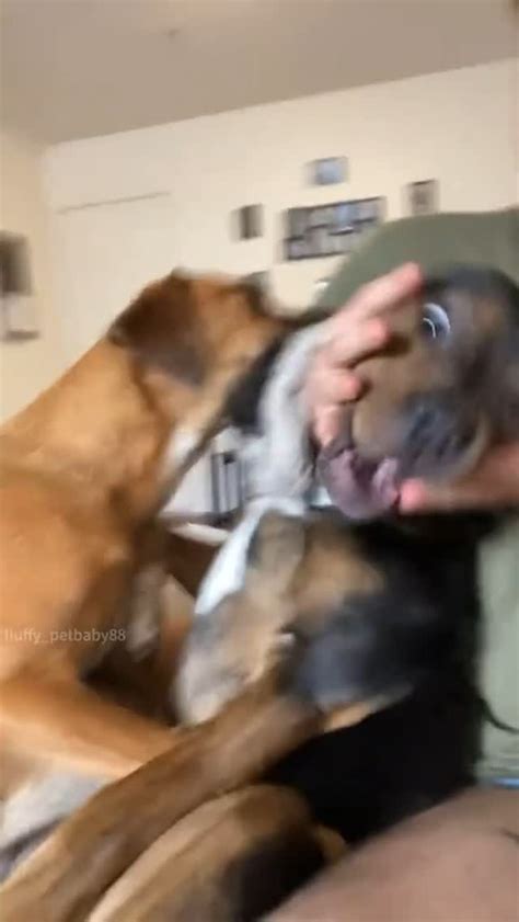 Instagram Video By Veronica Brown • Jan 12 2025 At 1228 Pm