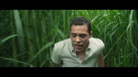 In The Tall Grass 2019