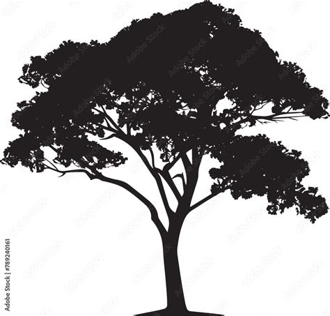 Tree Silhouette Vector Black On White Background Stock Vector Adobe
