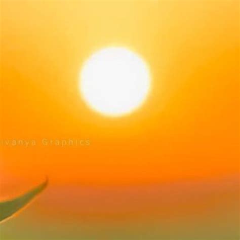 Ajinder Kaur Phd Punjab Agricultural University Ludhiāna Pau School Of Agril