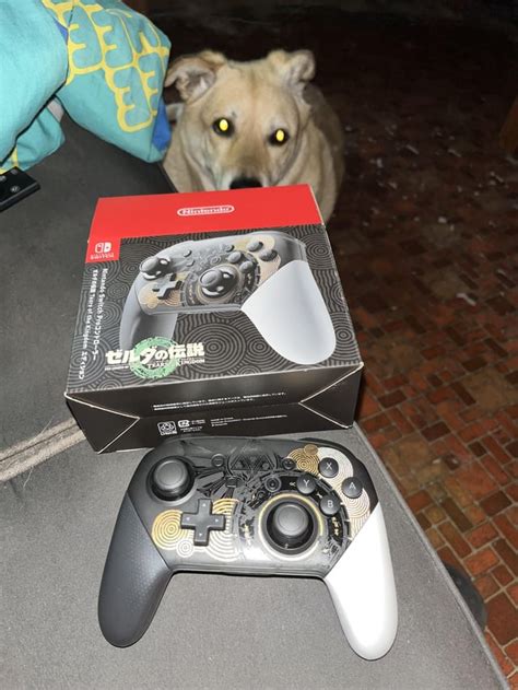 Got Sent The Wrong Controller Is This Real I Need To Make Sure Im Playing Celeste On Official