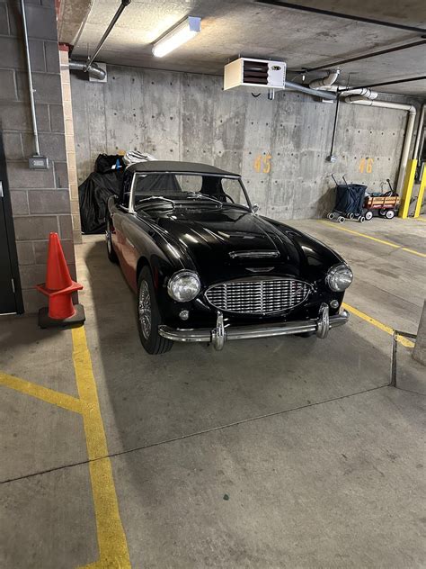 [aston Healey] In Denver Co R Spotted
