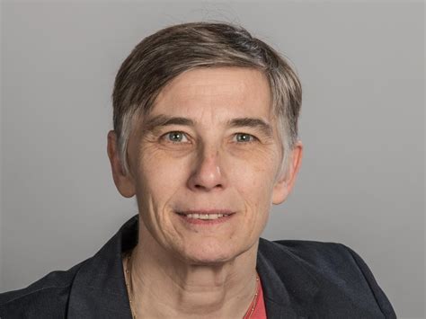 Zecken In Allen Berliner Bezirken Gesichtet Wie Sie Krankheiten