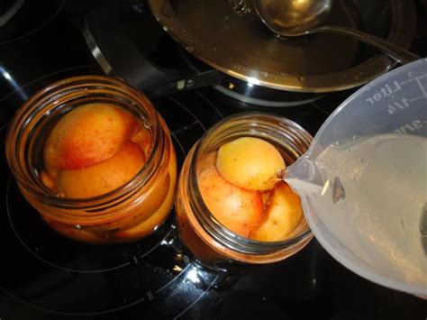 Beschwipste Marille Einfach Von Emari