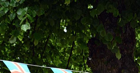 Johan Ehn Om Åland I Omvärlden Ålands Radio And Tv