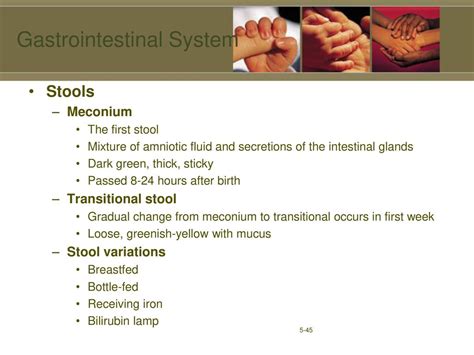 Chapter 5 The Newborn Infant Ppt Download