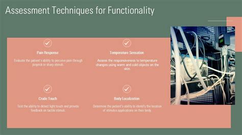Anterior Spinothalamic Tract Pathway Ppt Template Acp Ppt Slide
