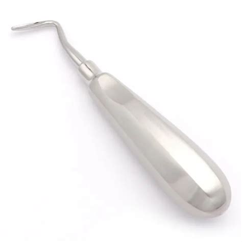 Right Apical Root Elevator Chun Tara Industries