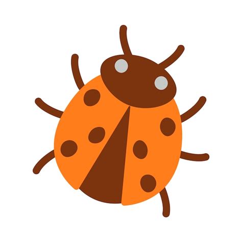 Premium Vector Ladybug Insect