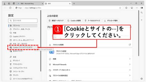 【microsoft Edge】特定のサイトのキャッシュやcookieを削除する方法 情シスの自由帳