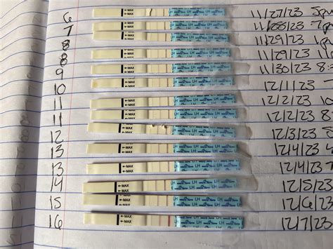 Can Someone Help Me With Todays Ovulation Test Negative Or Positive