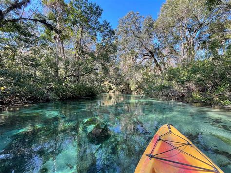 Weeki Wachee Springs Ce Quil Faut Savoir Pour Votre Visite 2023