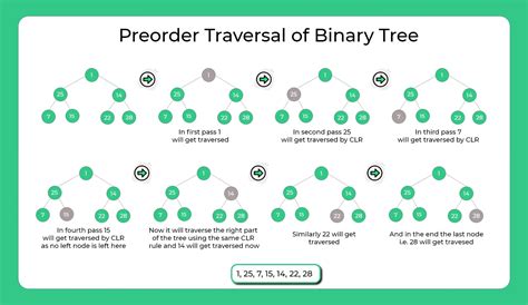 Preorder Tree Traversal Of Binary Tree In C Prepinsta