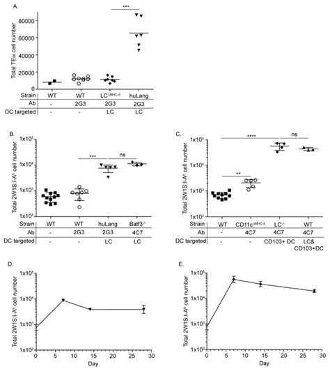 Skin Dc Induce Follicular Helper T Cells And Protective Humoral Immune