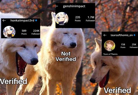 Paimon Crying R Genshin Memepact