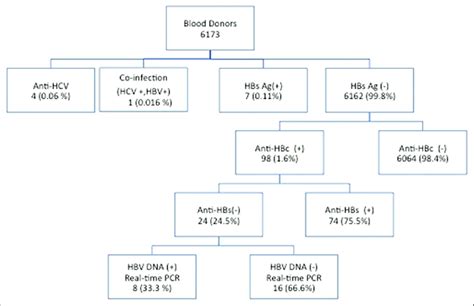 Serological And Molecular Characterization Of Hepatitis B Virus And