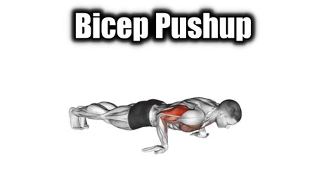 Push Ups That Work Biceps