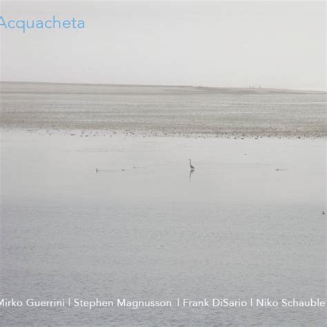 Mirko Guerrini Stephen Magnusson Frank Disario Niko Schauble Acquacheta