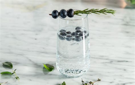 Low Calorie Gin And Tonic Stoken Gin