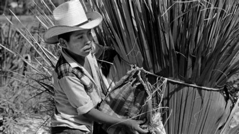 Golpe De Estado En Guatemala De 1954 Cómo La Cia Derrocó A Mi Padre