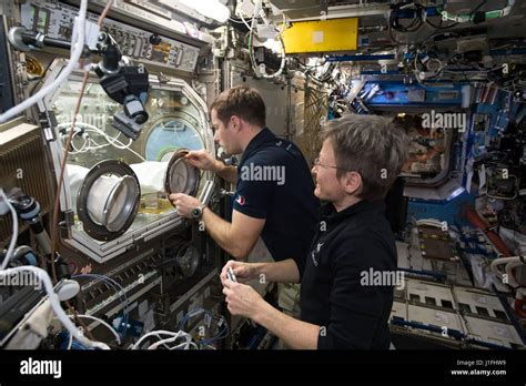 Nasa Expedition 50 Prime Crew Members American Astronaut Peggy Whitson