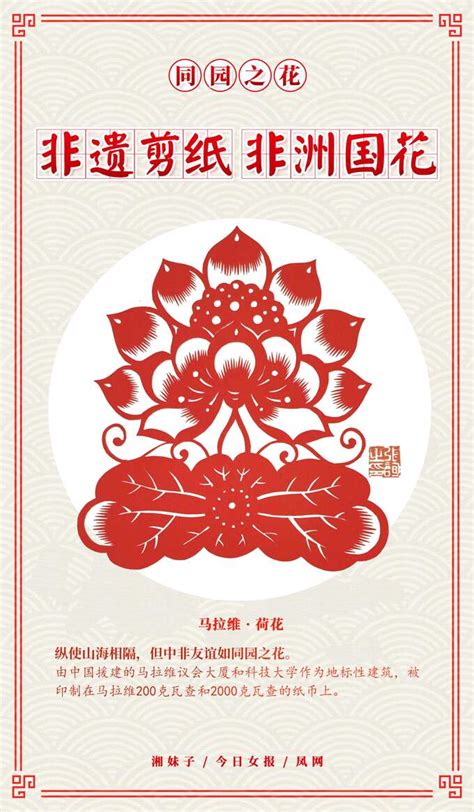 海报丨非遗剪纸 非洲 国花”
