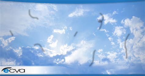 When Are Eye Floaters Serious Eye Care And Vision Associates