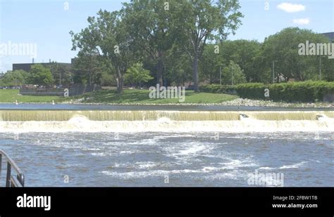 Flint River Pollution Stock Videos And Footage Hd And 4k Video Clips Alamy