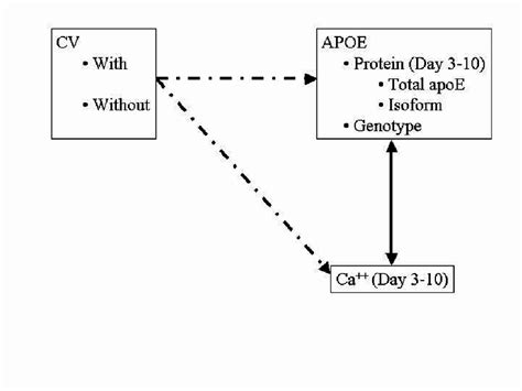 Model Of Study Variables Download Scientific Diagram
