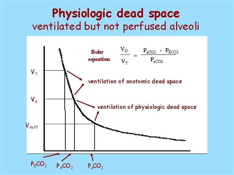 Respiratory Physiology Introduction Daniel Hodyc Department Of Physiology