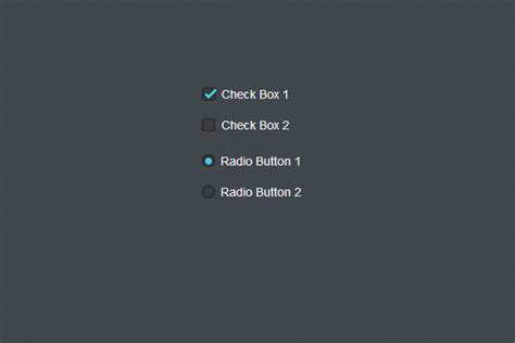 How To Style Checkbox Using CSS